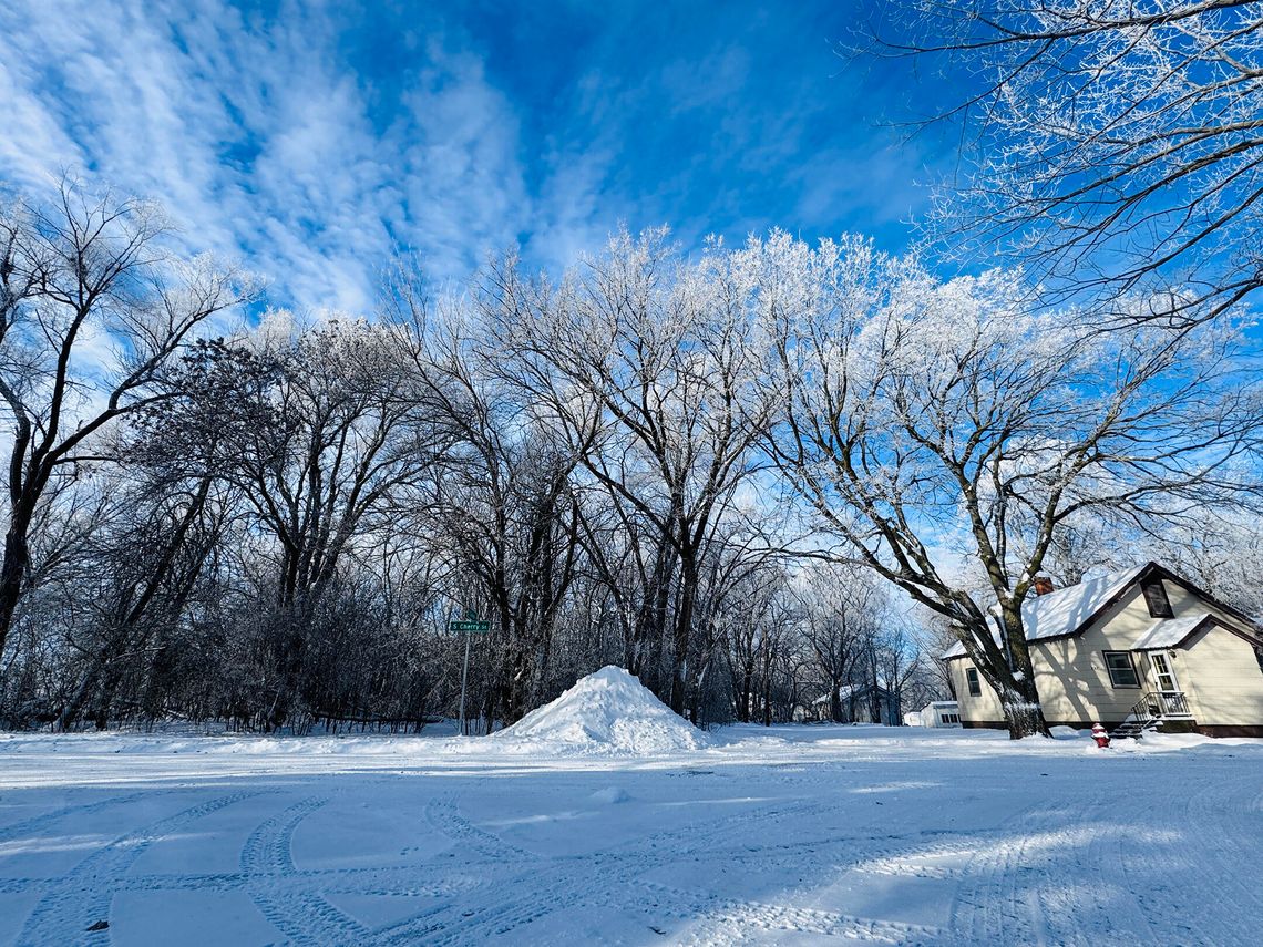 PHOTO OF THE DAY: WINTER COLORS